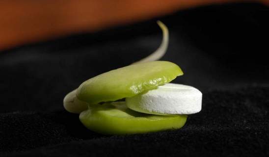 Fitohormoni un fitoestrogēni — Doctus