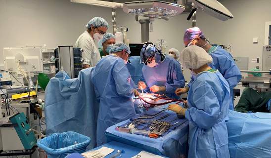 Liek pamatus hipertrofiskās kardiomiopātijas ārstēšanas koman... — Doctus