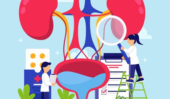 Urīnceļu infekcijas. Jaunumi EUA vadlīnijās 2025 — Doctus